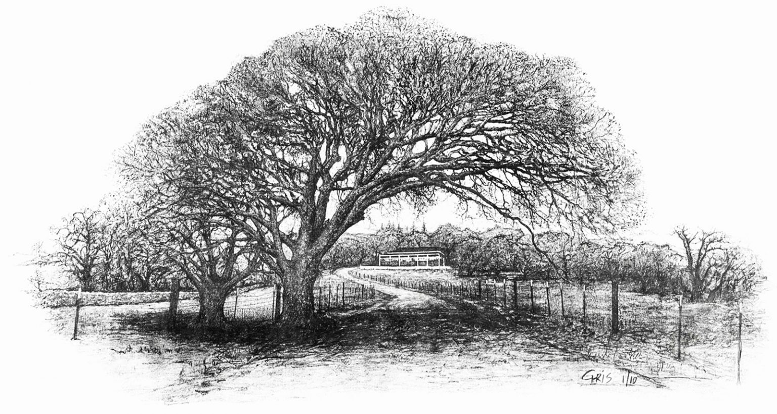 Beltane Ranch • Vineyard, Estate Wines, Gardens and Farm Stay Inn ...