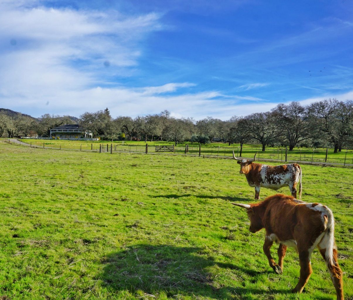 Beltane Ranch • Vineyard, Estate Wines, Gardens and Farm Stay Inn ...